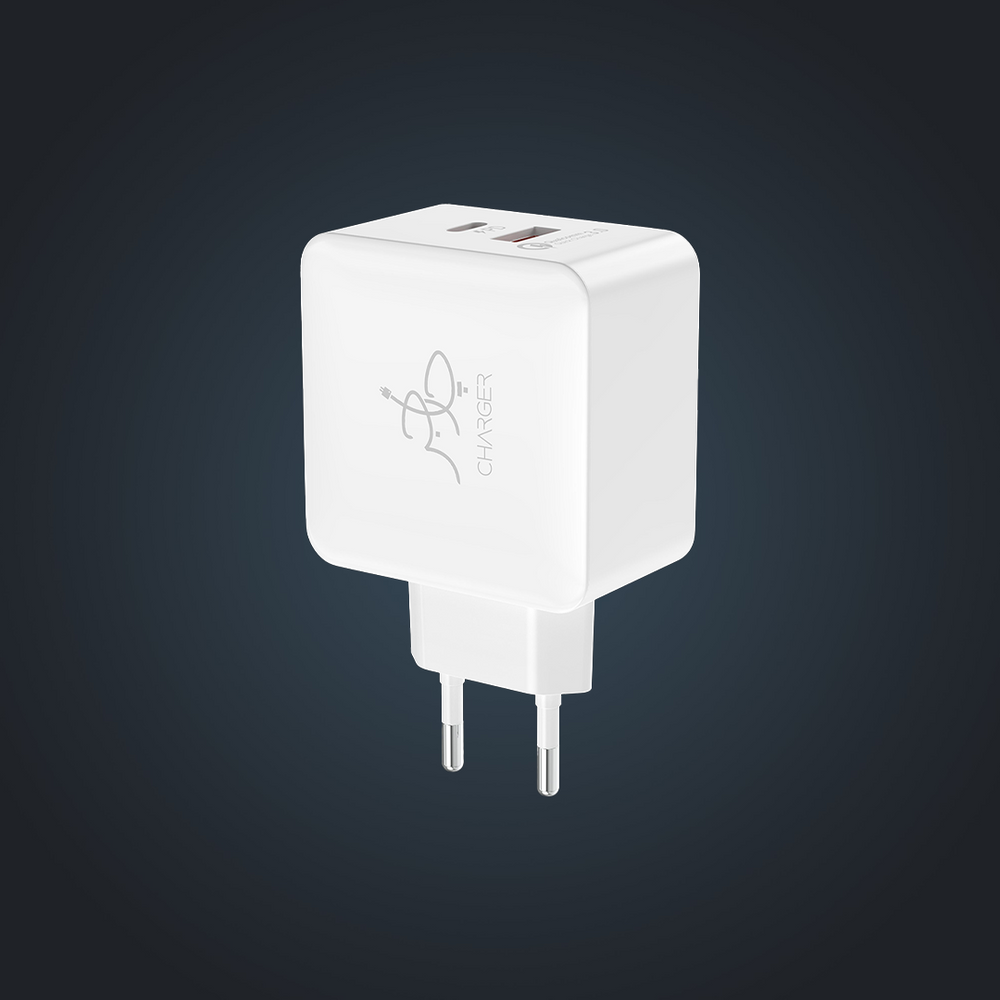 Blaze 25W PD Charger (with C to C cable)